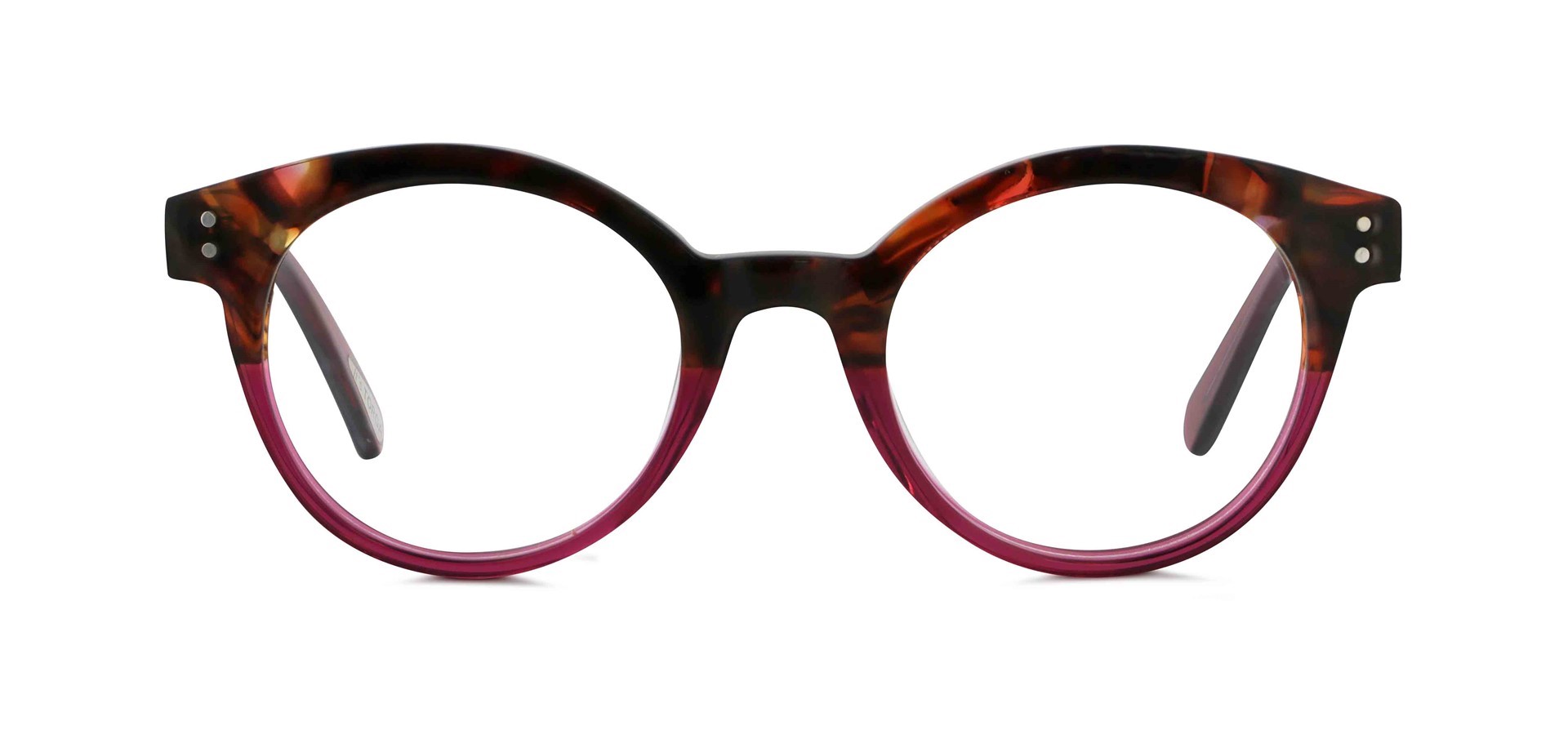 Torga Optical Australia - Optometrists Brisbane and Gold Coast ...